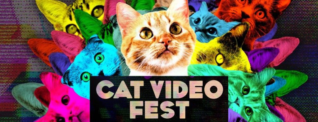 Cat Video Fest 2022 at the Hilo Palace Theater