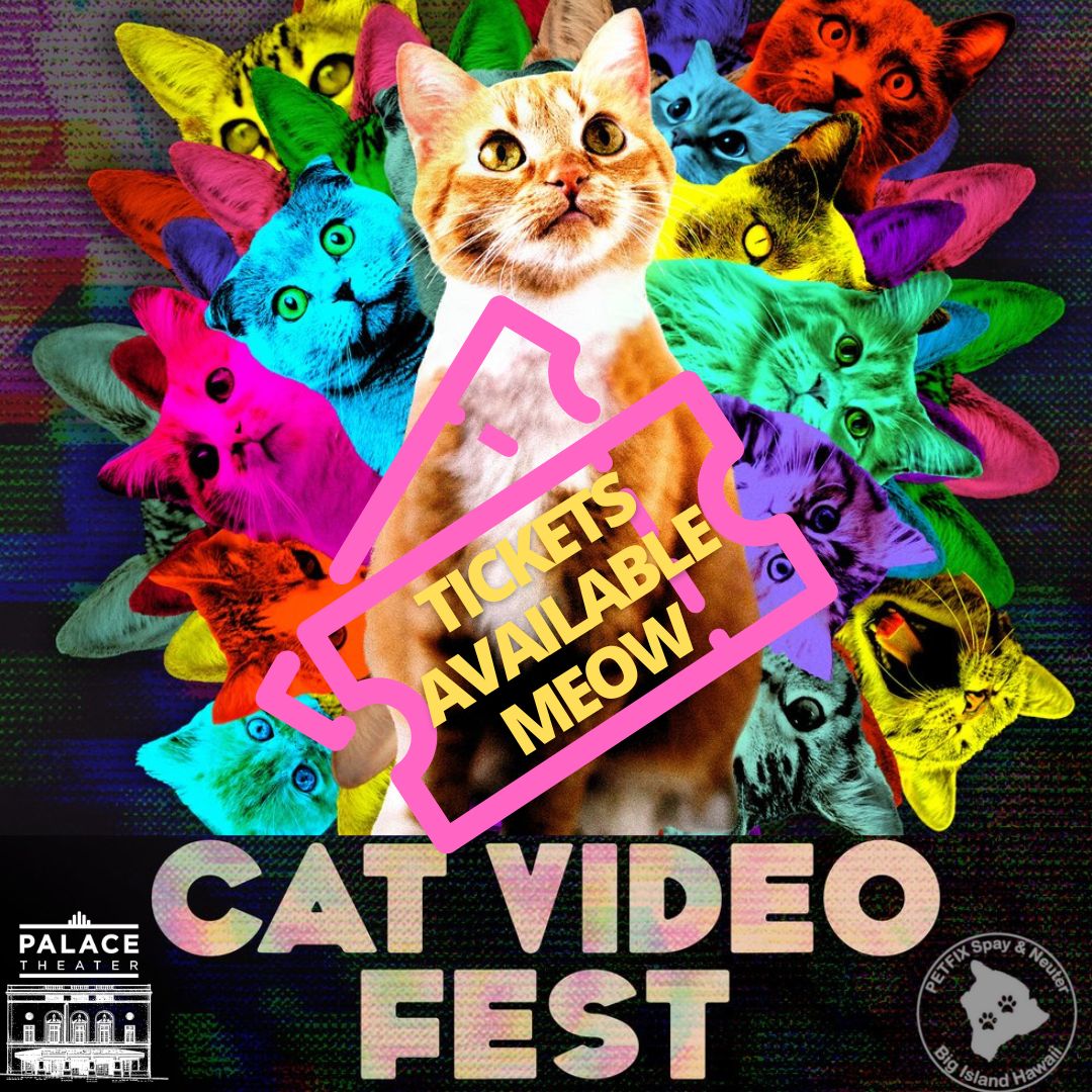 Cat Video Fest 2022 at the Hilo Palace Theater